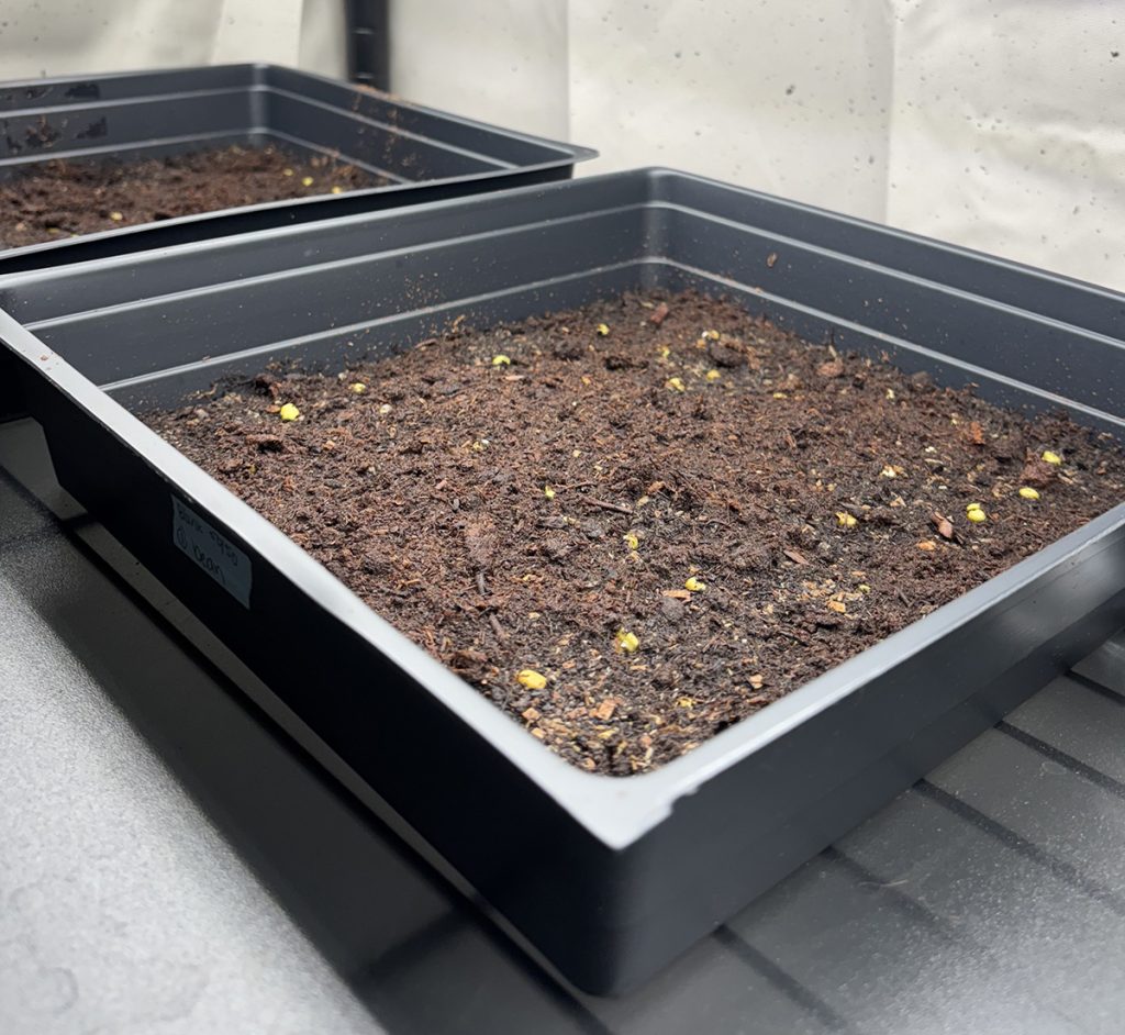 OECD 207: Earthworm Acute Toxicity Test - Aropha